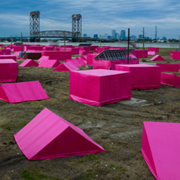 The Pink Project