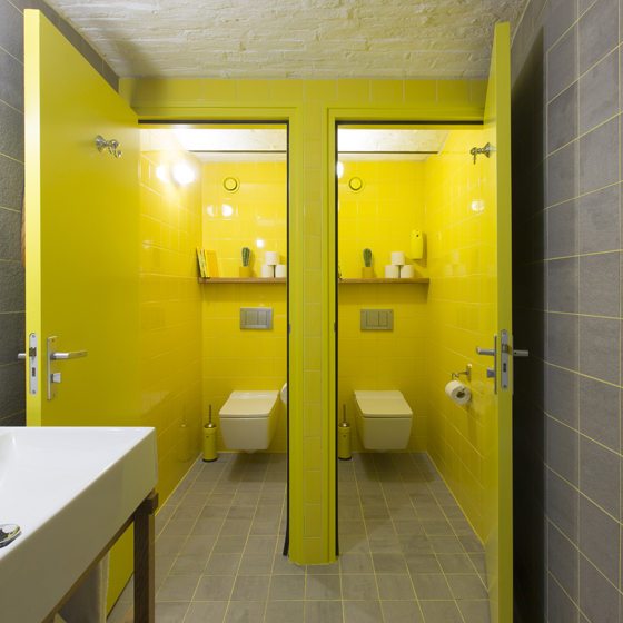 Flush, a lavatory experience