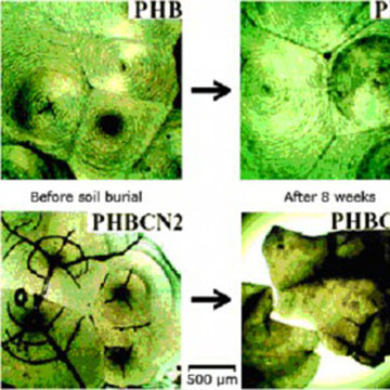 Polyhydroxybutyrates (PHB) reinforced by nano particles