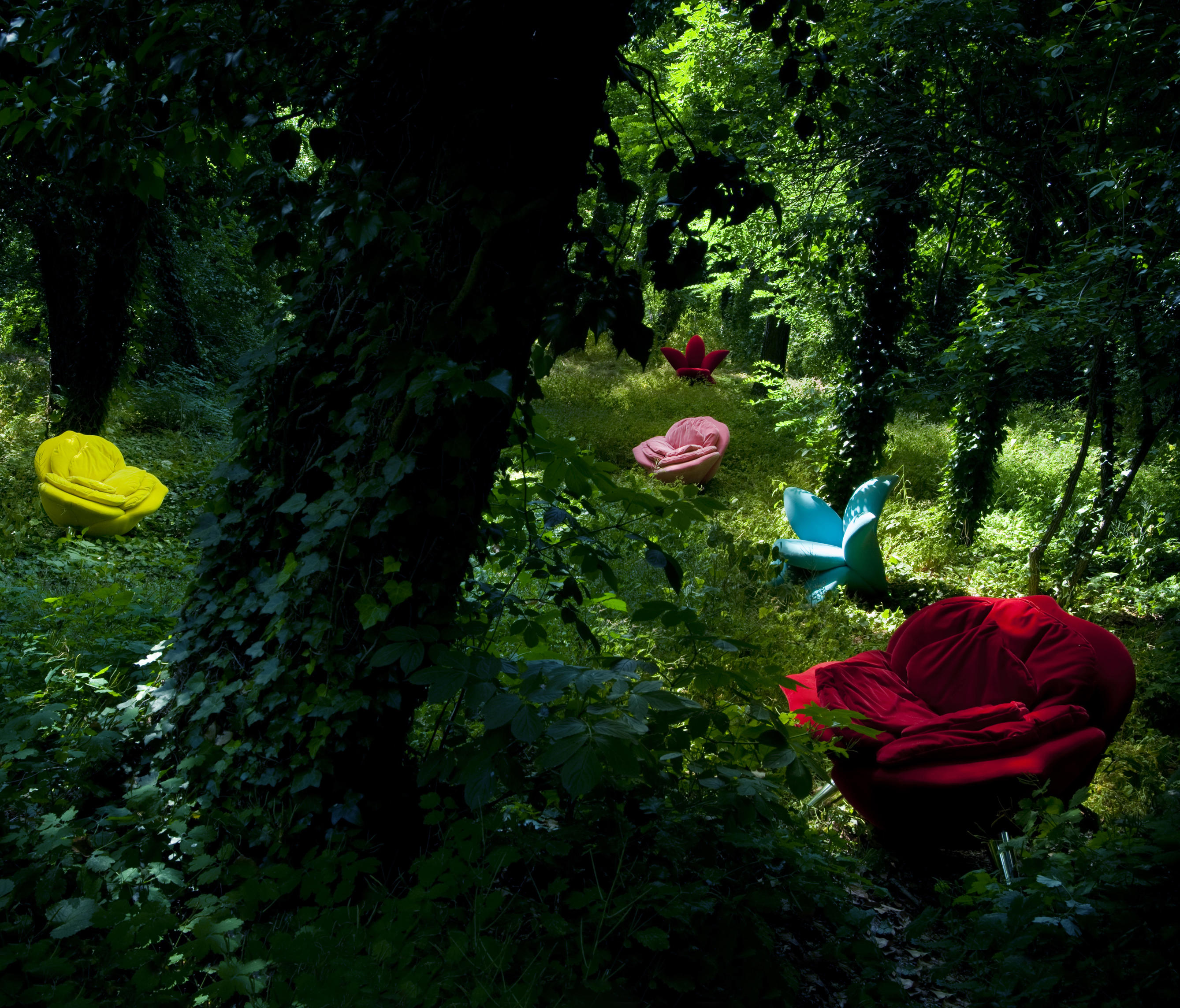 ROSE CHAIR - Armchairs from edra | Architonic