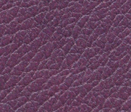 PROGRESSION - Natural leather from Tenerías Omega | Architonic