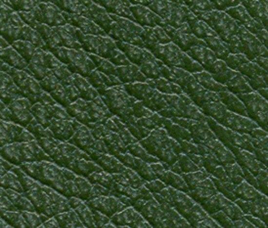 PROGRESSION - Natural leather from Tenerías Omega | Architonic