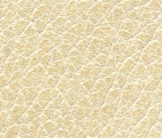 PROGRESSION - Natural leather from Tenerías Omega | Architonic
