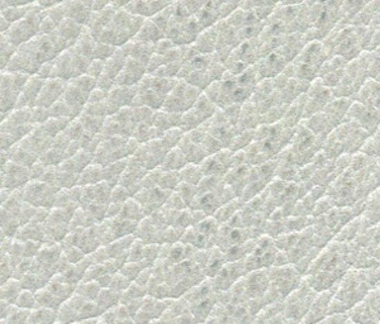 PROGRESSION - Natural leather from Tenerías Omega | Architonic