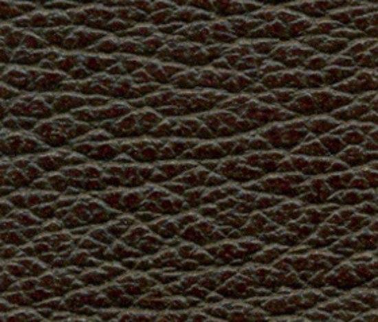 PROGRESSION - Natural leather from Tenerías Omega | Architonic