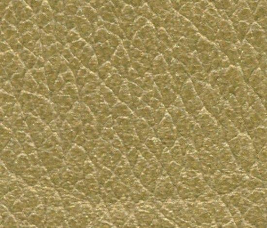 PROGRESSION - Natural leather from Tenerías Omega | Architonic