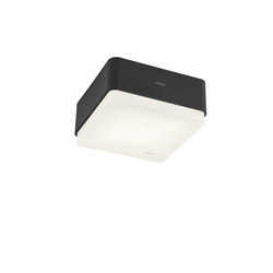 CUBIC 36 FRAME - Ceiling lights from Nimbus | Architonic