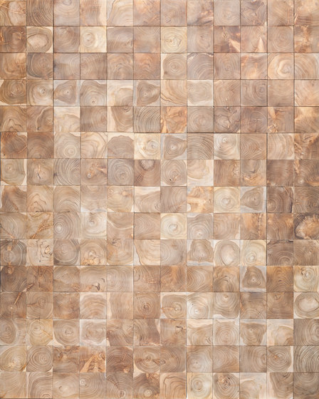 COAST - Wood panels from Wonderwall Studios | Architonic