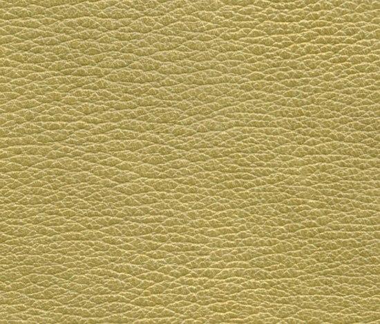 PROGRESSION - Natural leather from Tenerías Omega | Architonic