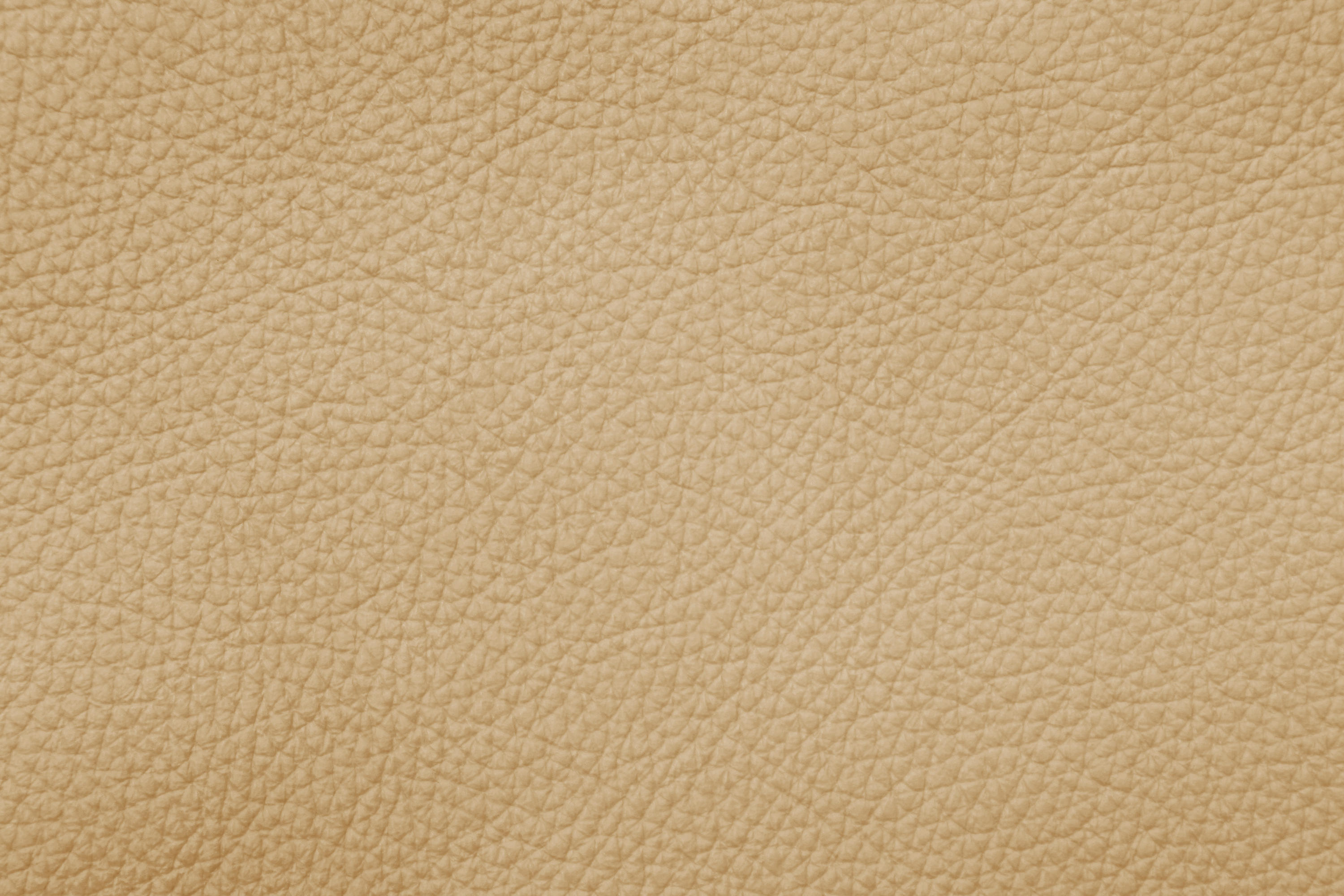 COUNT PRESTIGE 14161 SILK - Naturleder von BOXMARK Leather GmbH & Co KG ...