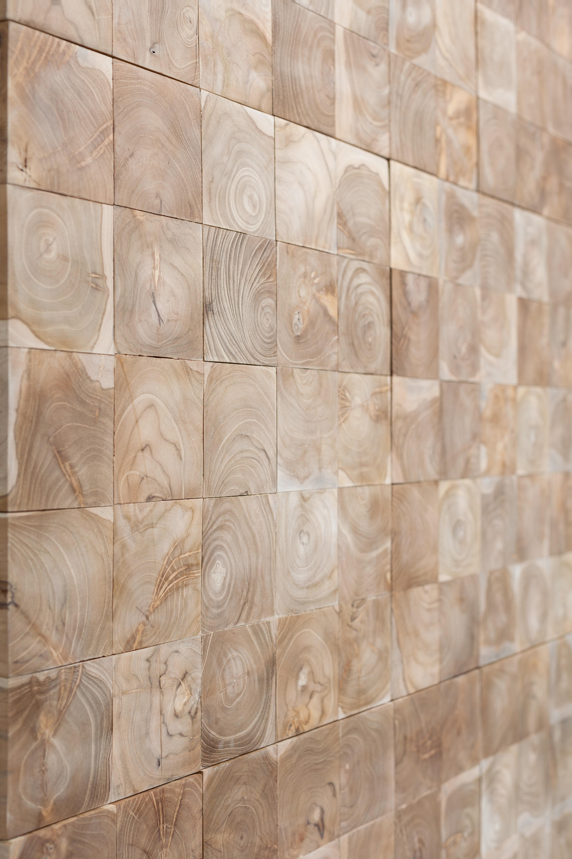 COAST - Wood panels from Wonderwall Studios | Architonic