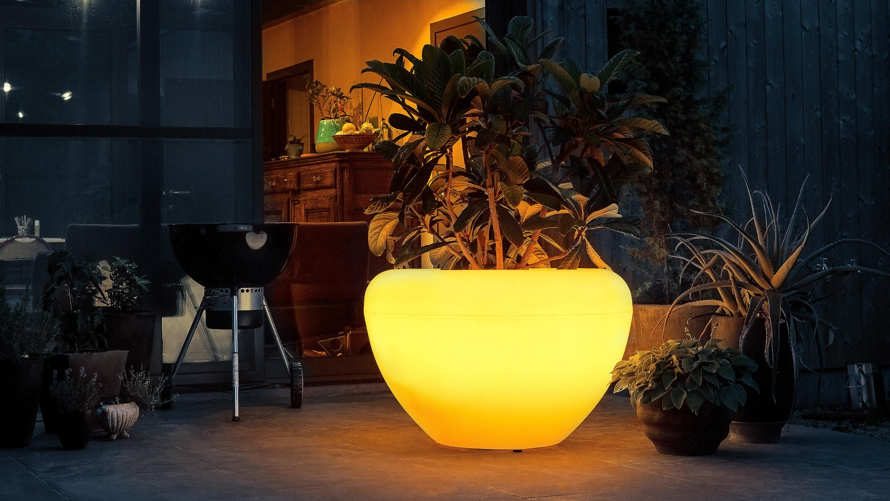 SCOOP | LIGHT - General lighting from Manga Street | Architonic