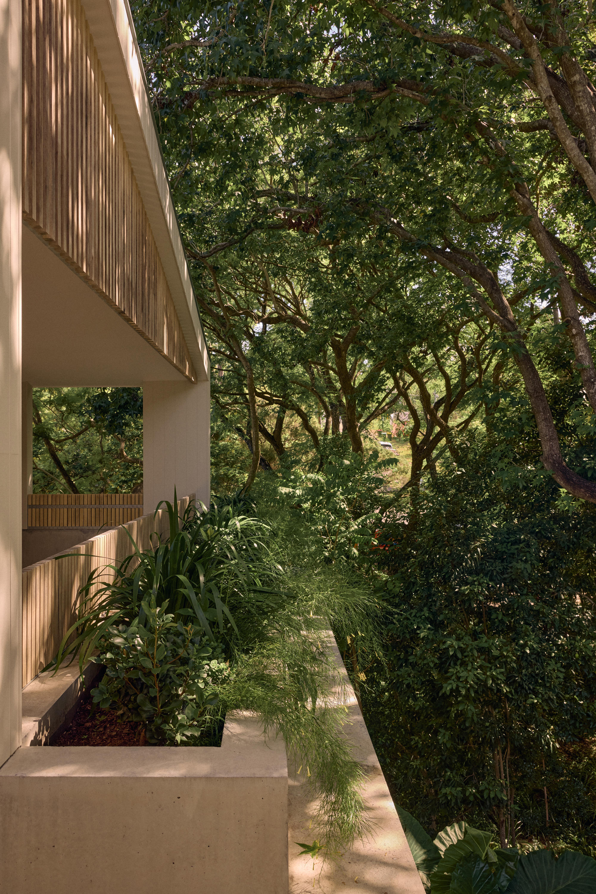 Couldrey von Alexandra Buchanan Architecture | Wohnräume
