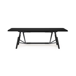 Stammtisch rectangular table, solid wood tabletop | Architonic