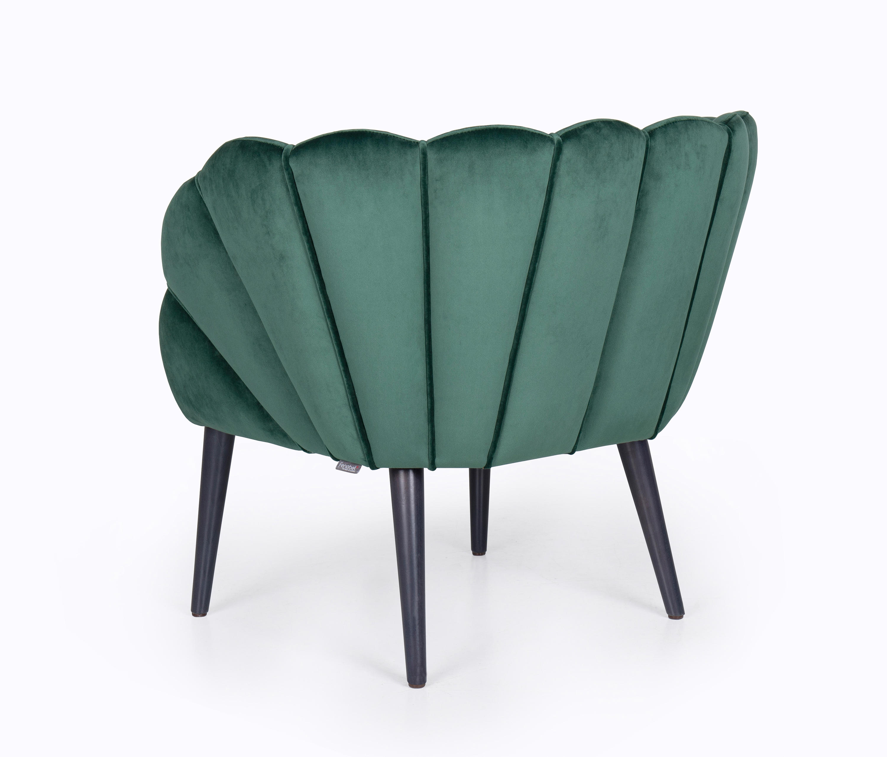 SHELL - Armchairs from Fenabel | Architonic