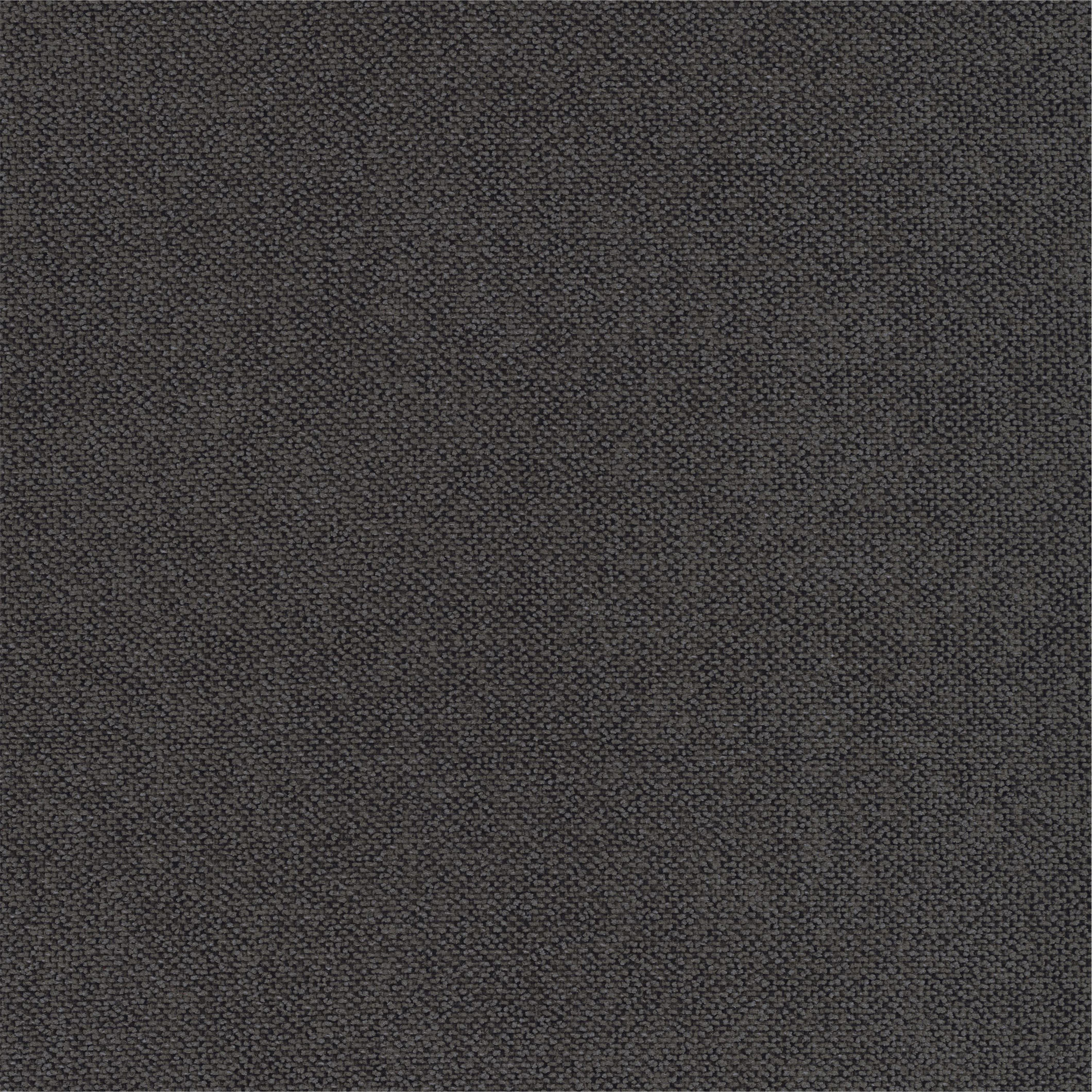SOCOA ANTHRACITE & designer furniture | Architonic