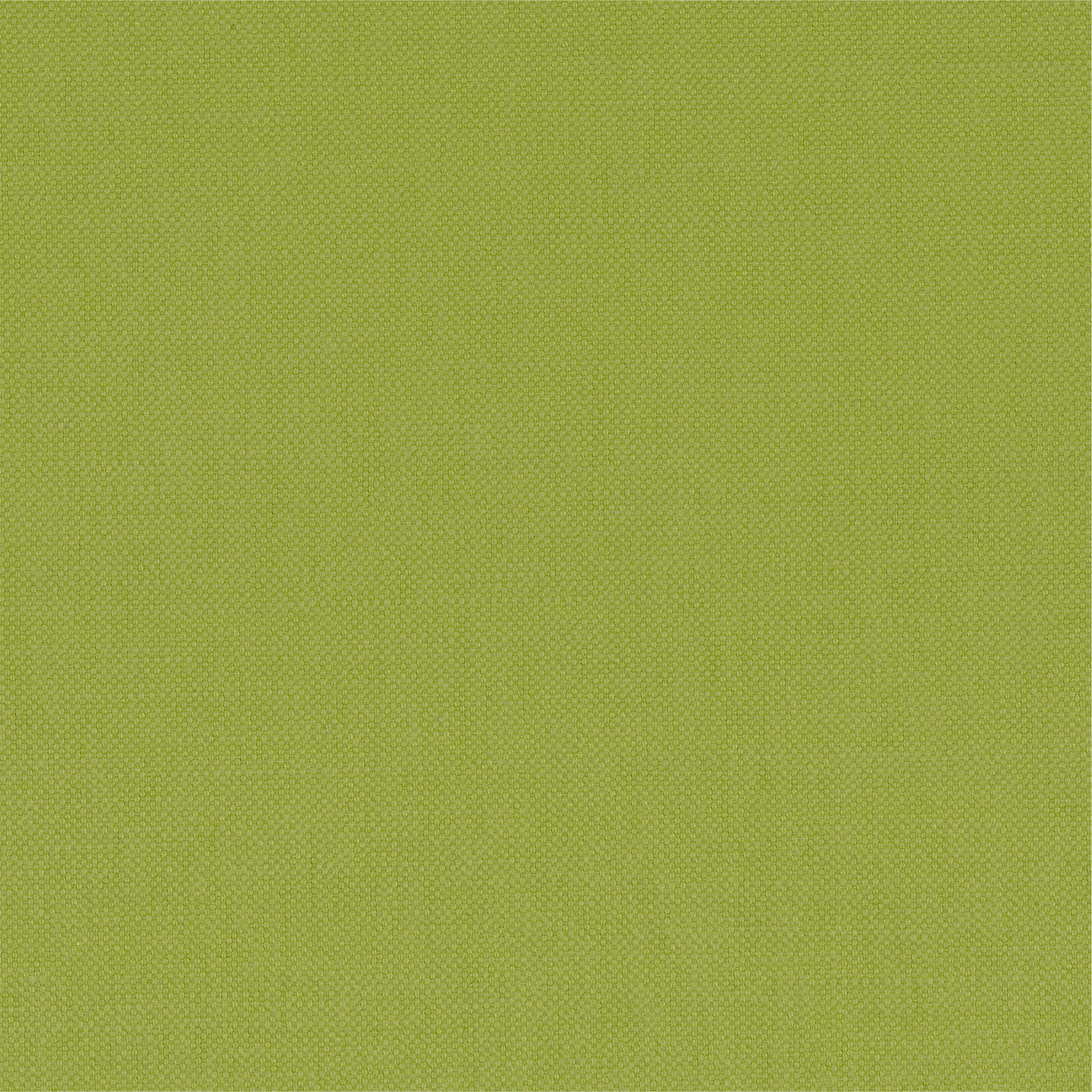 Paris Texas VERT MOUSSE | Architonic