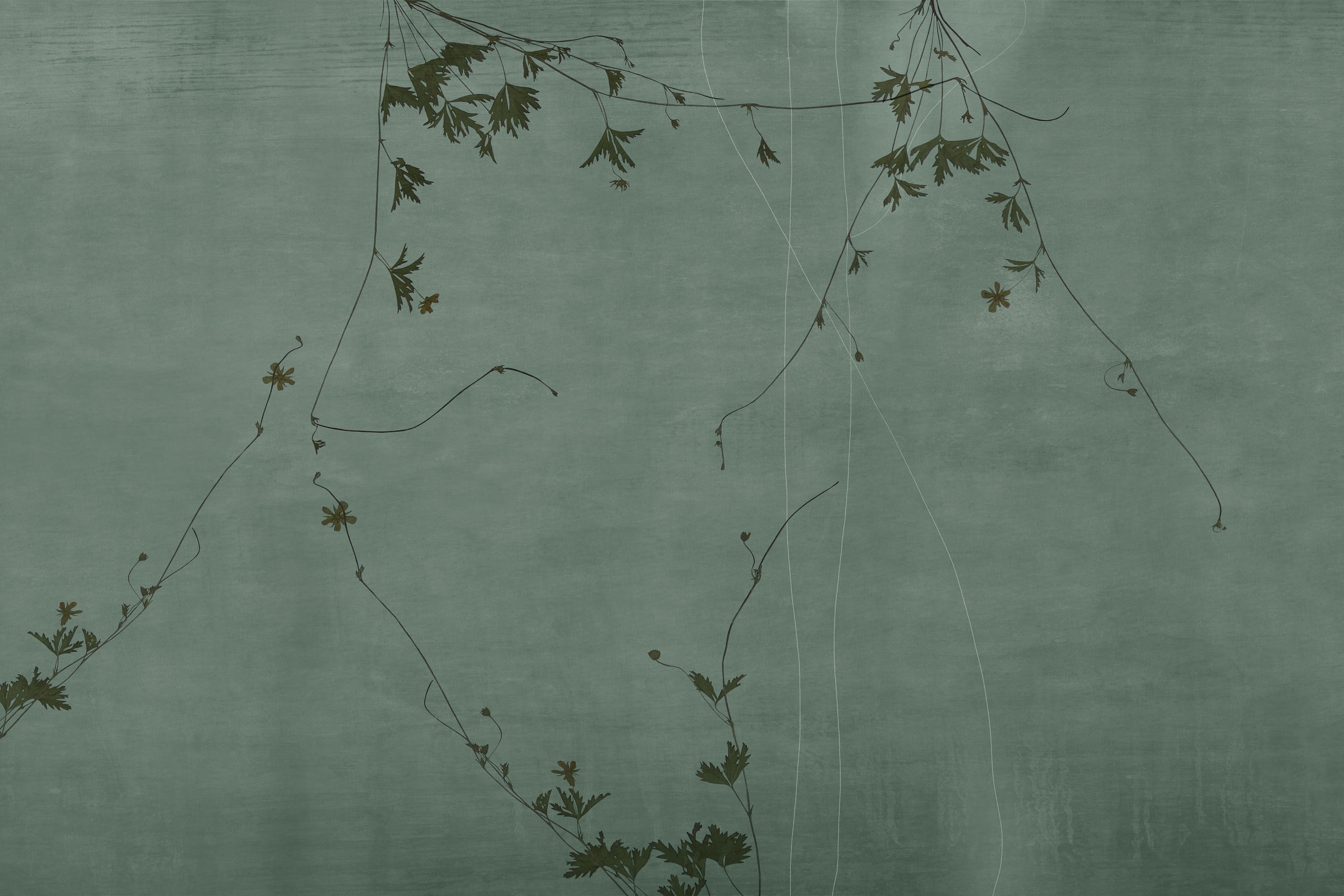 VERDANT VEIL - Bespoke wall coverings from GLAMORA | Architonic