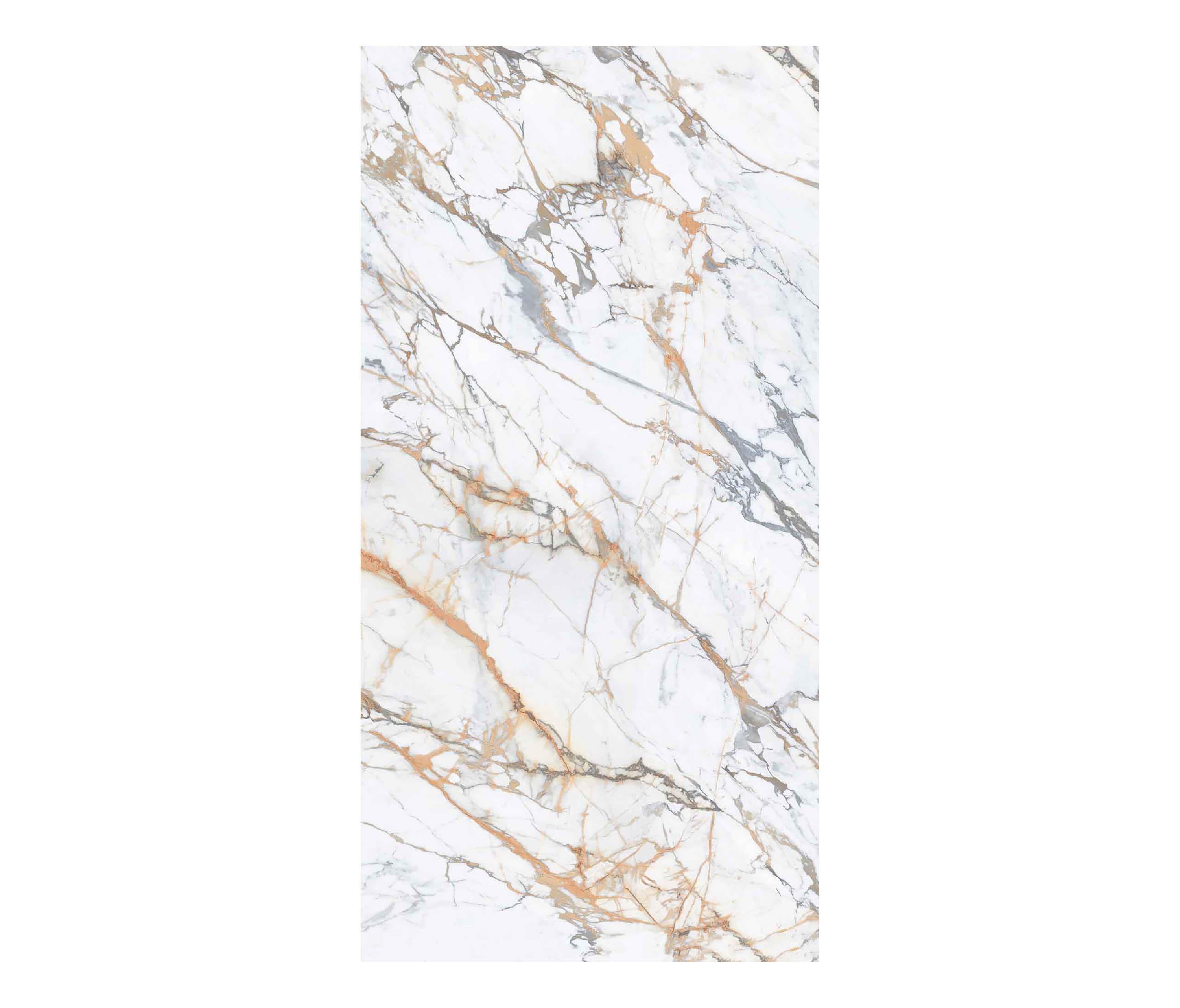 Royal Marbles Polished Calacatta Macchia Vecchia Porcelain Tile 60x120 ...