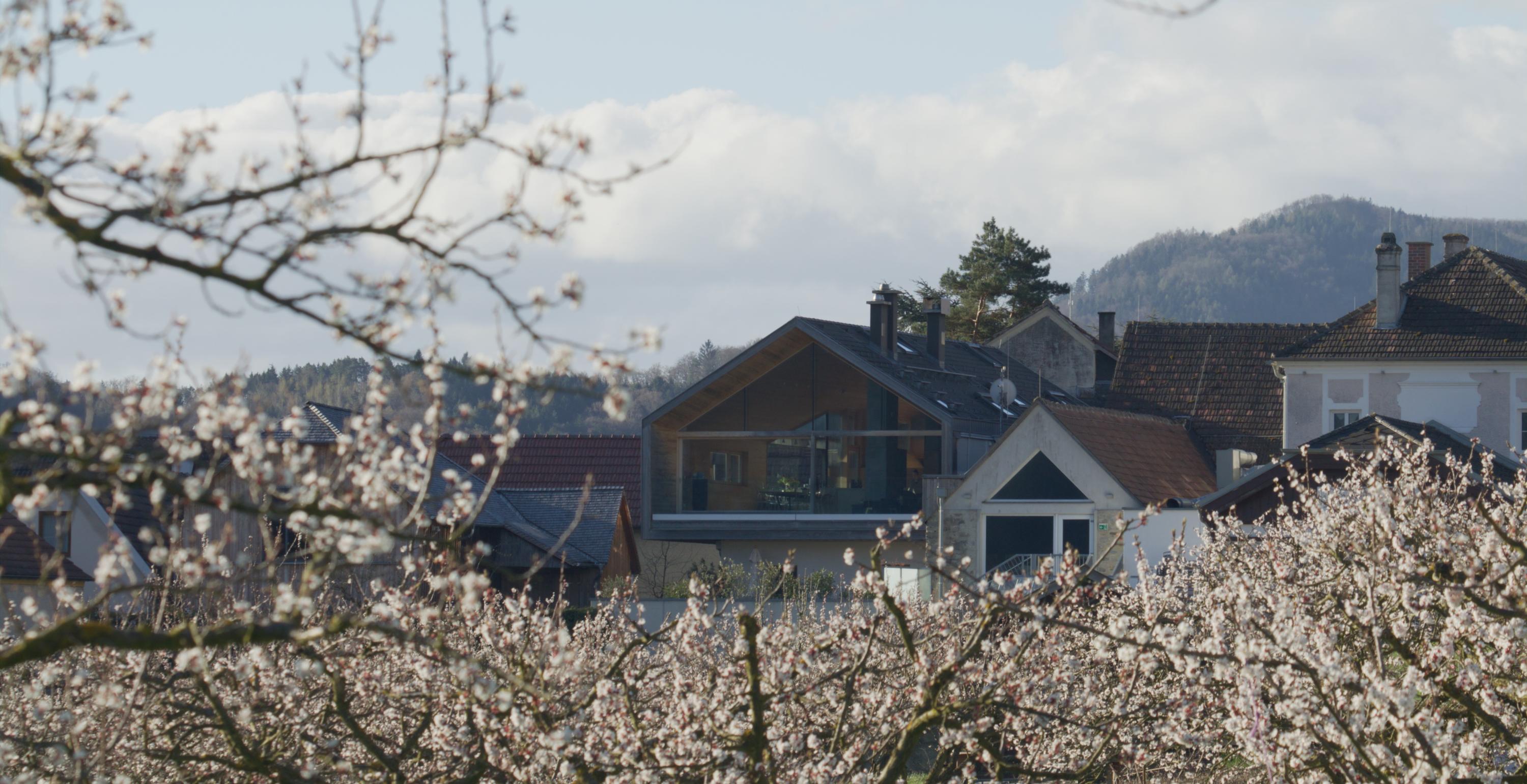 Transforming homes with VELUX Daylight Visualizer